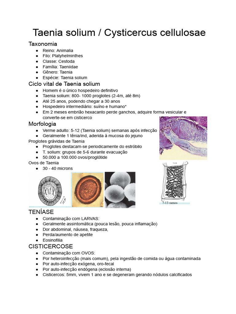 Taenia Solium - Cysticercus Cellulosae | PDF | Especialidades médicas ...