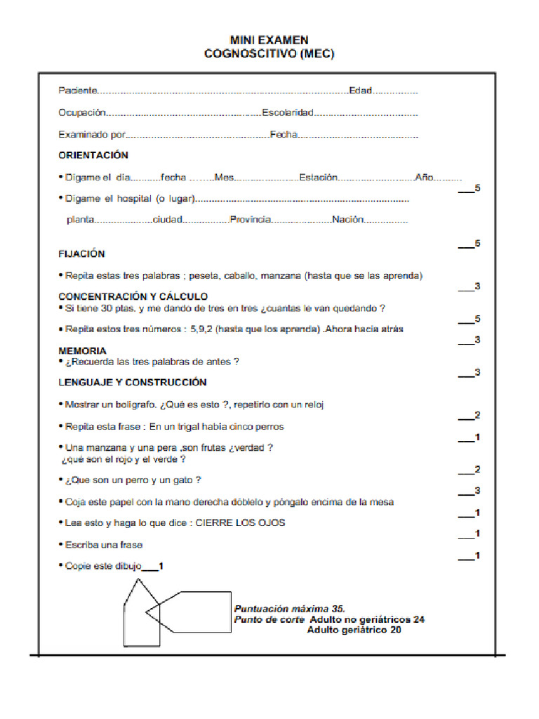 Mini Mental | PDF