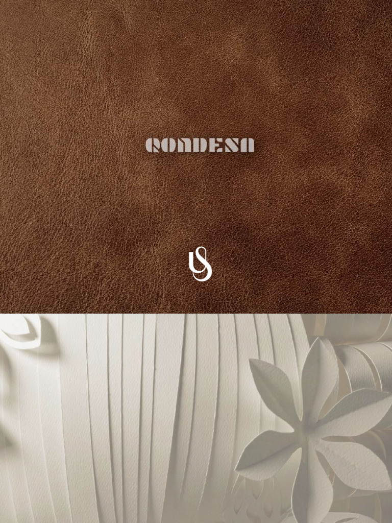 BROCHURE QONDESA ABRIL 19 OK - PDF - LLQ | PDF