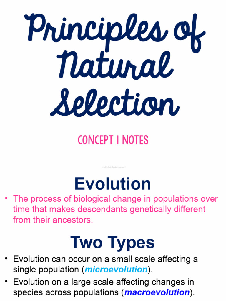Concept+1+Notes+ +Natural+Selection | PDF | Natural Selection | Evolution