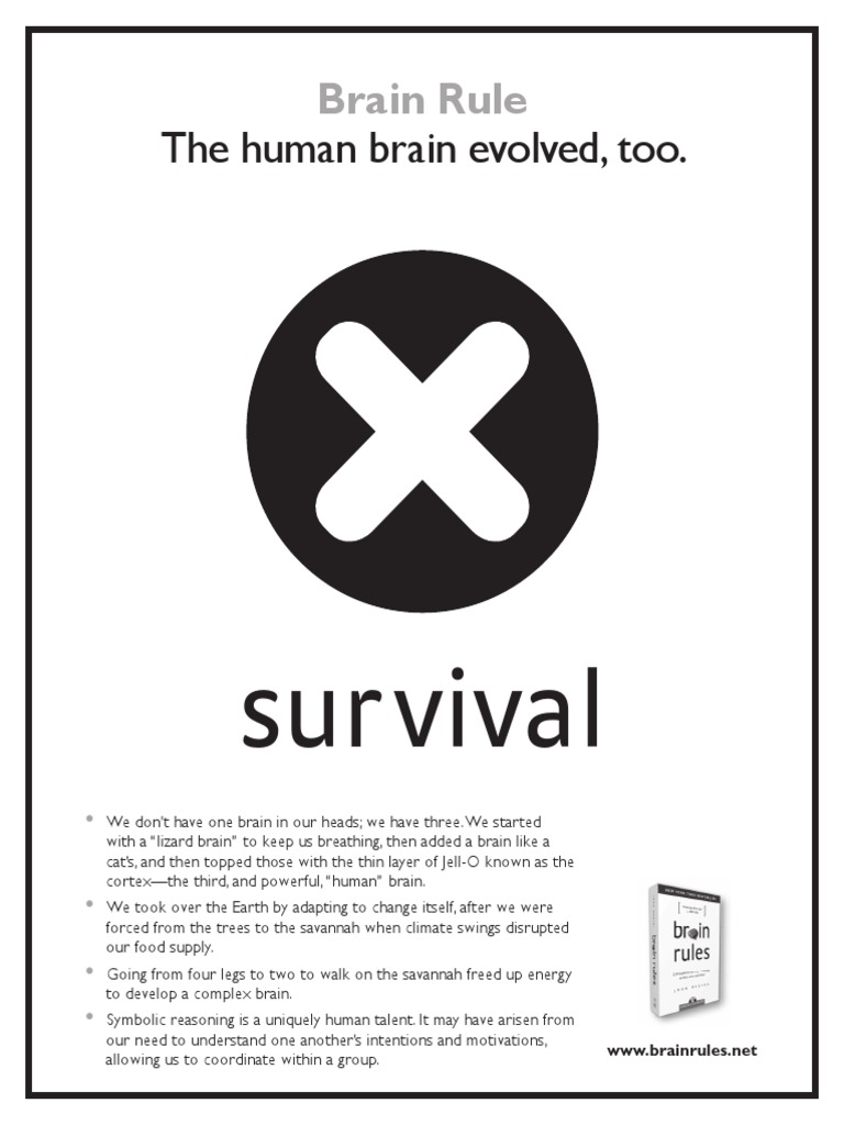 Brain Rules Posters | PDF | Memory | Brain