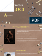 Australopithecus Garhi: Descubrimiento y Características | PDF