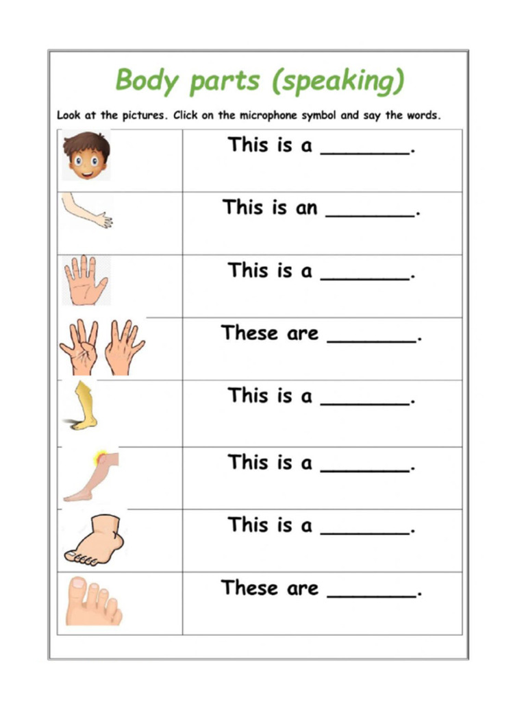 Partes Cuerpo Ingles Pdf