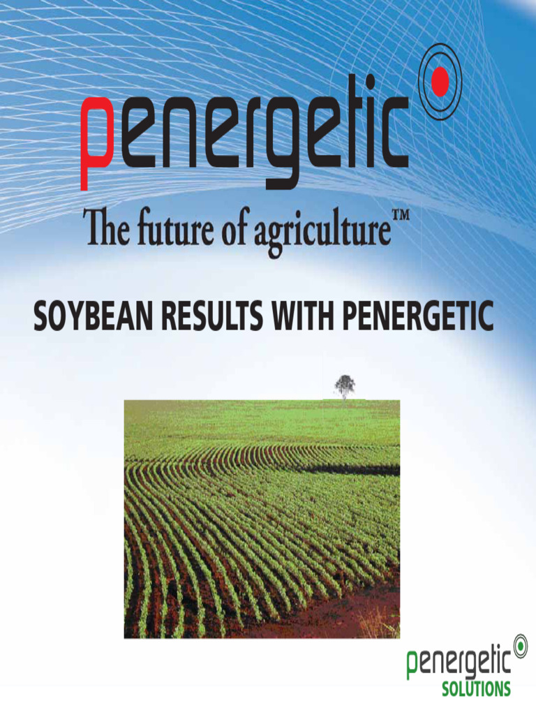 Penergetic and Soybeans Consolidated Report | PDF | Soybean | Fertilizer