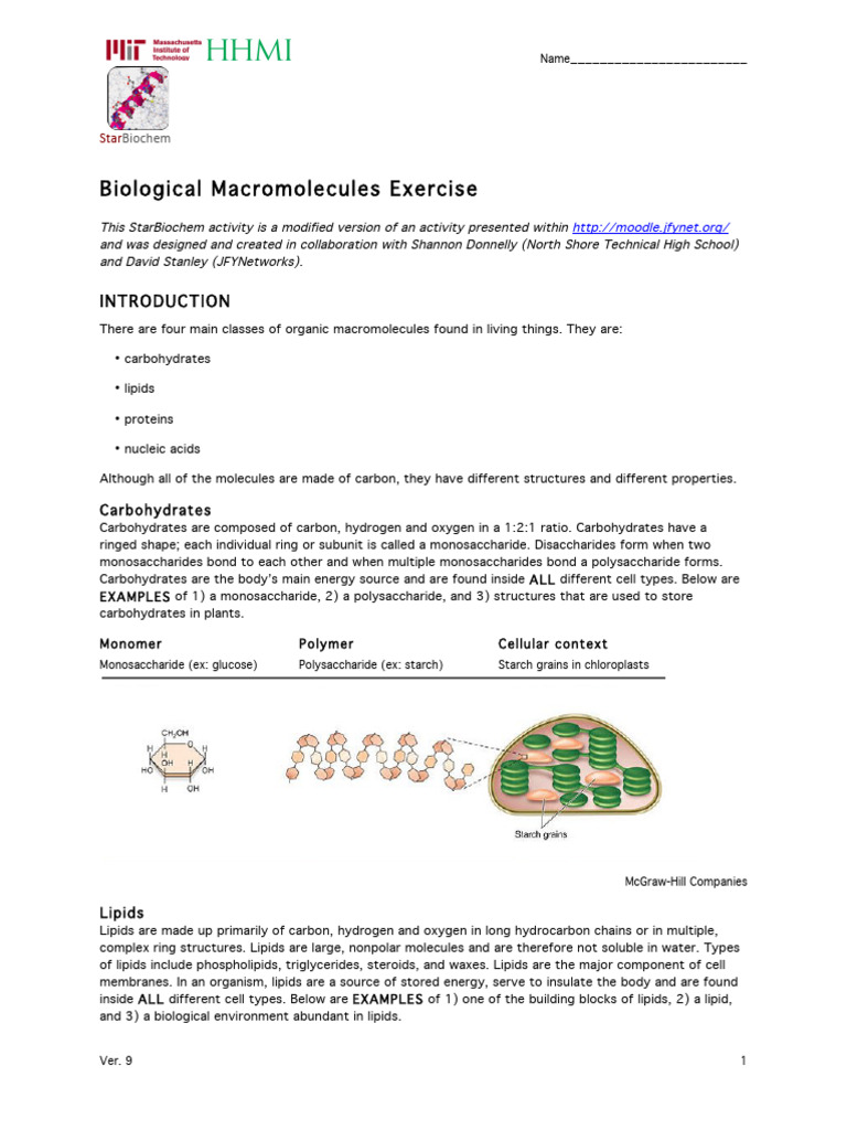 Biological Macromolecules Overview | PDF | Nucleic Acids | Macromolecules