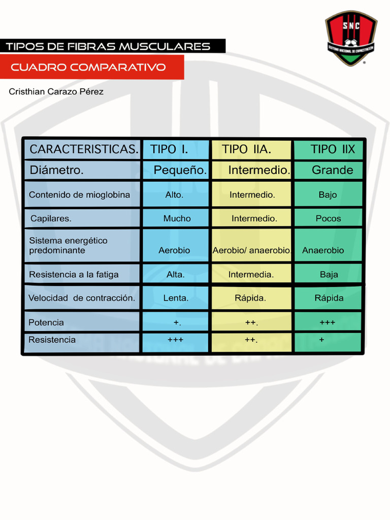 Fibras.ánguloq.bamic | PDF