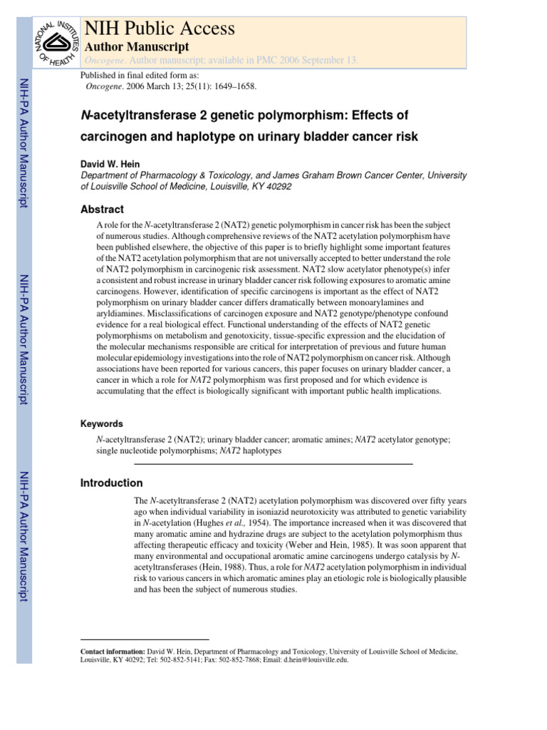N-Acetyltransferase 2 Genetic Polymorphism Effects of | PDF | Single Nucleotide Polymorphism ...