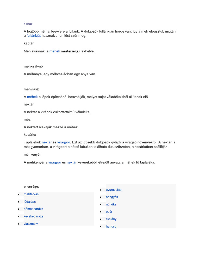 Méhek Lapbook Anyag | PDF