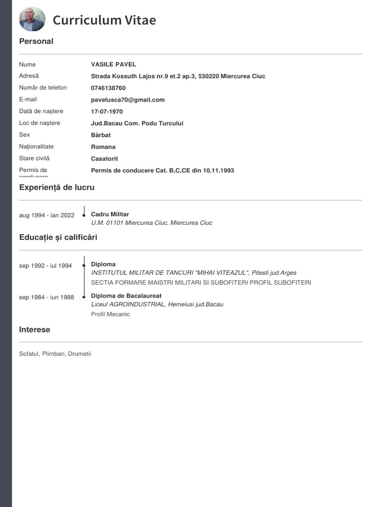 CV Vasile Pavel #1 | PDF