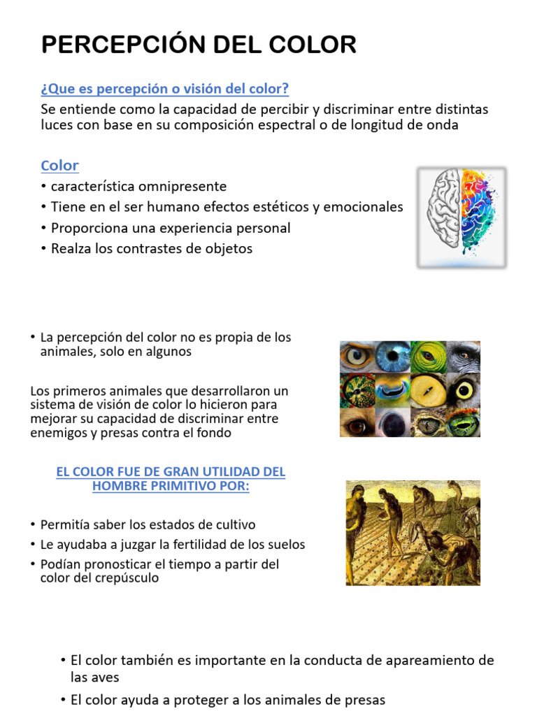 Percepcion Del Color | PDF | Color | Matiz