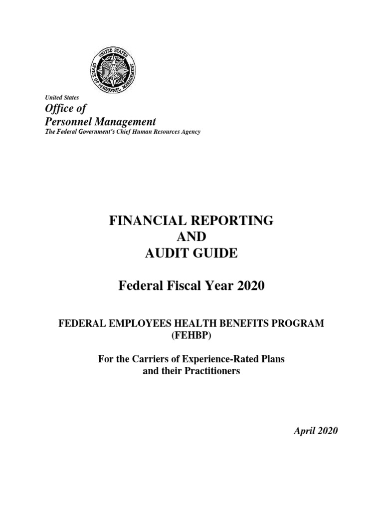 Financial Reporting AND Audit Guide Federal Fiscal Year 2020 | PDF