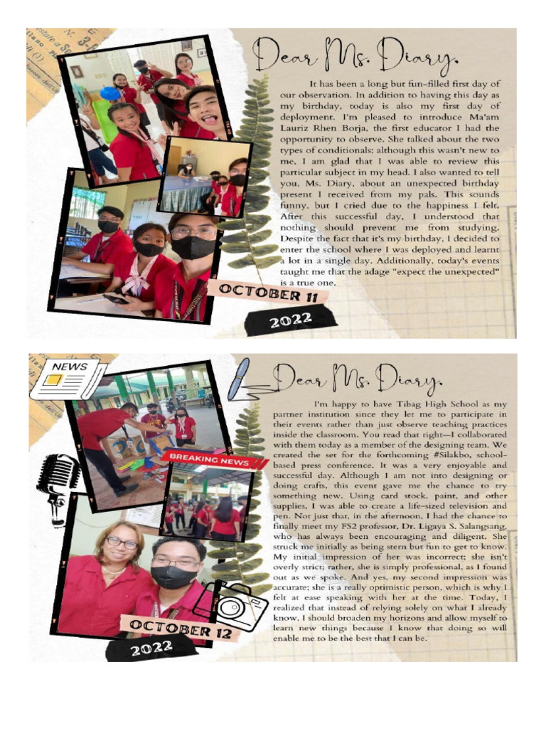 Example of a diary | PDF