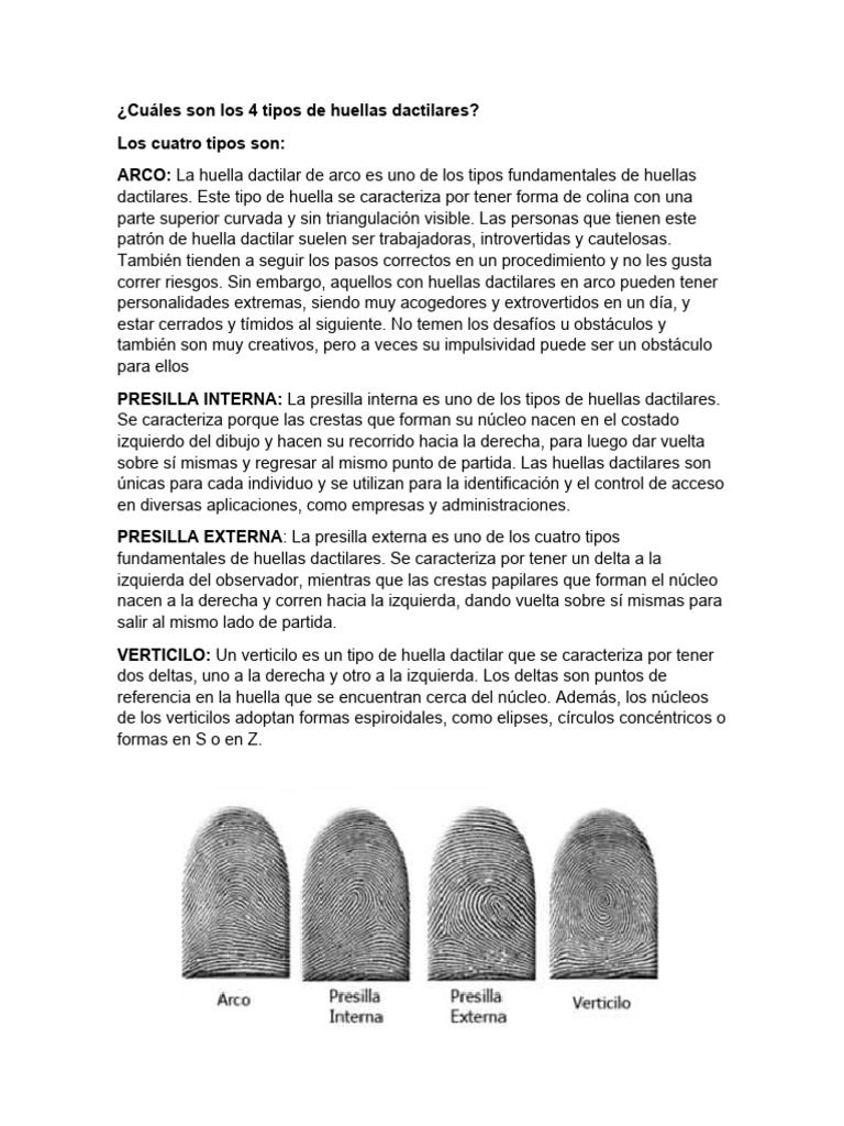 Tarea No. 4 | PDF | Huella dactilar