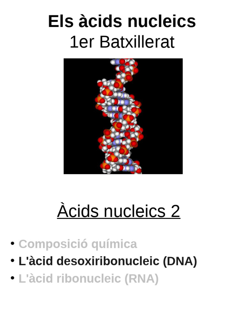 Acids Nucleics 2 DNA | PDF