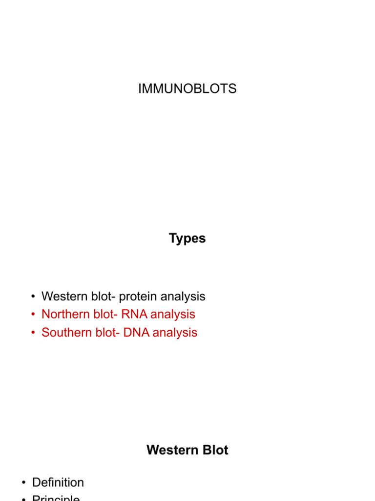 4 Immunoblots | PDF