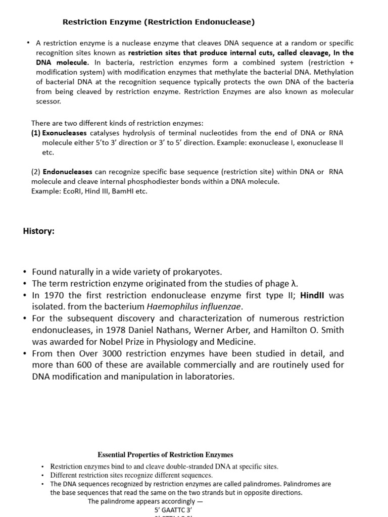 Restriction Enzyme | PDF | Restriction Enzyme | Dna