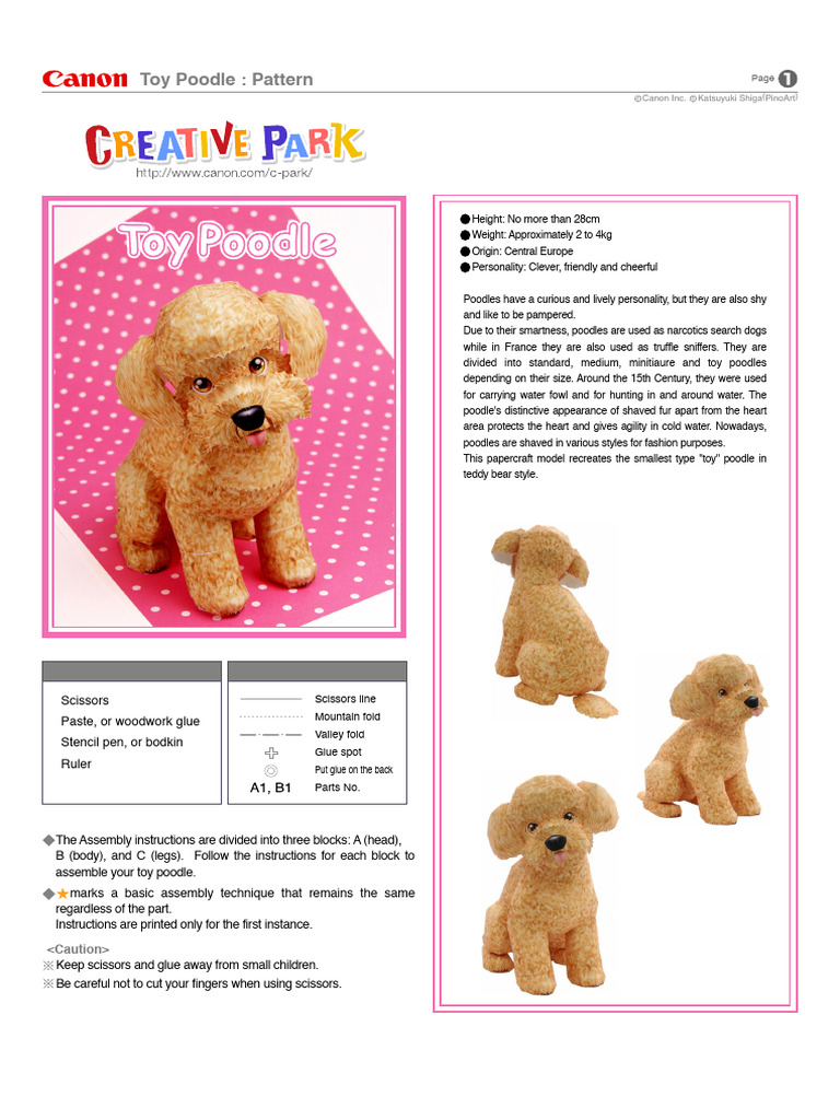 Toy Poodle Papercraft Assembly Guide | PDF | Poodle