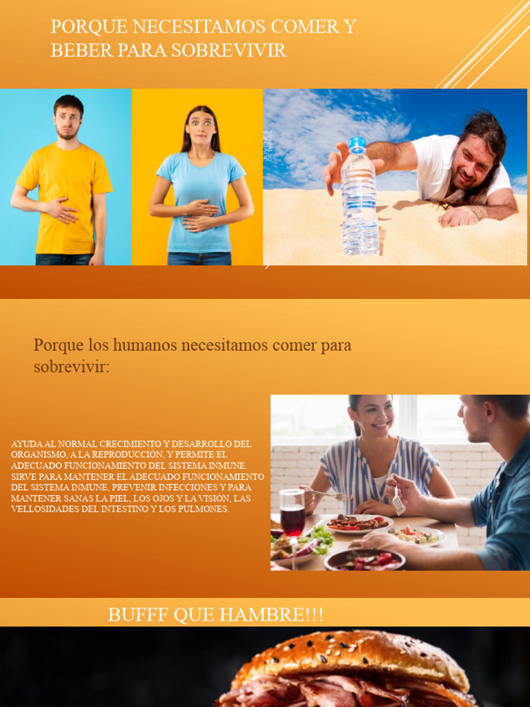 Importancia de Comer y Beber para Vivir | PDF