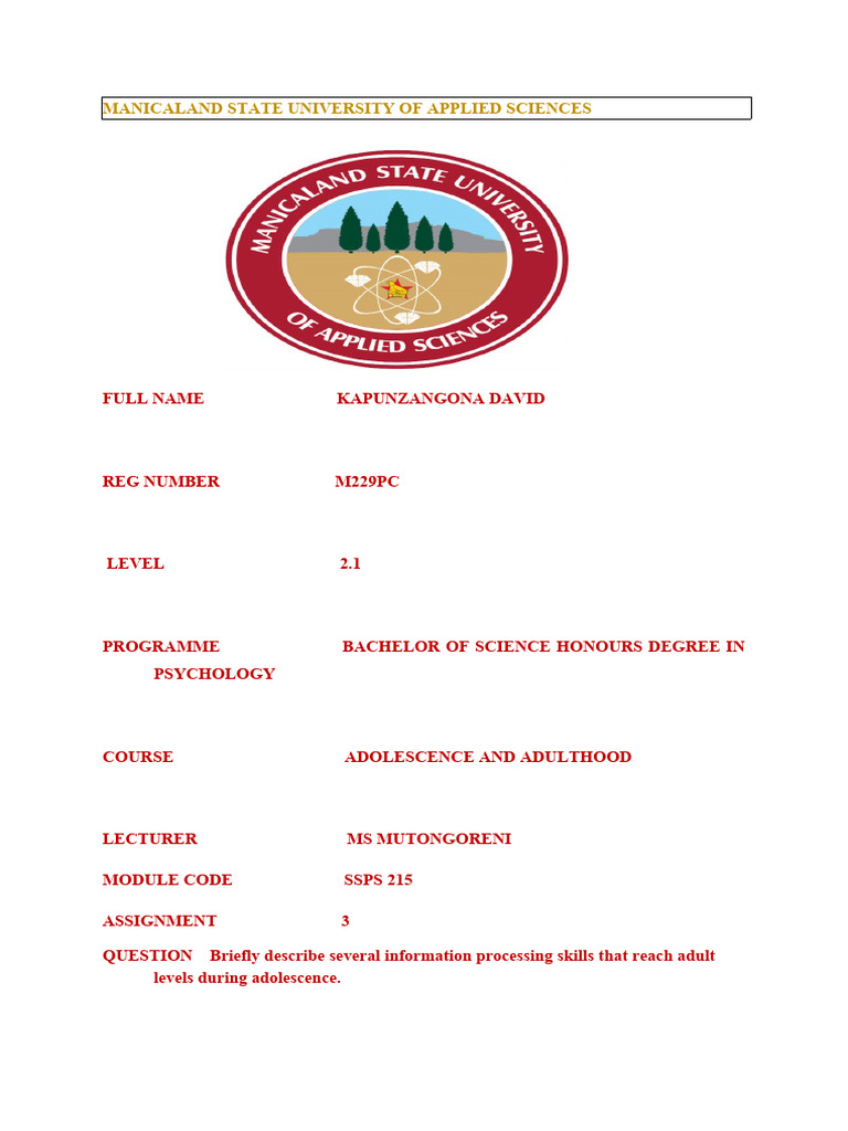 Information Processing Skills Adolescence | PDF | Adolescence | Memory