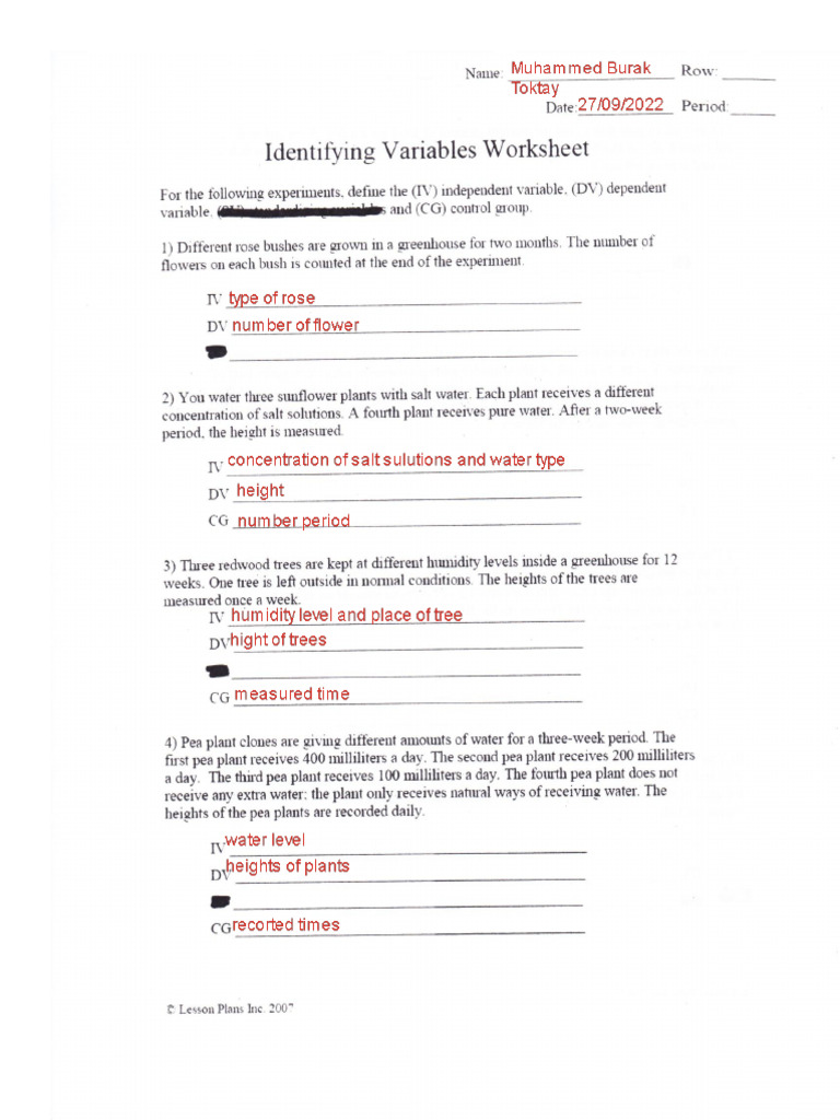 Identifying Variables Worksheet | PDF