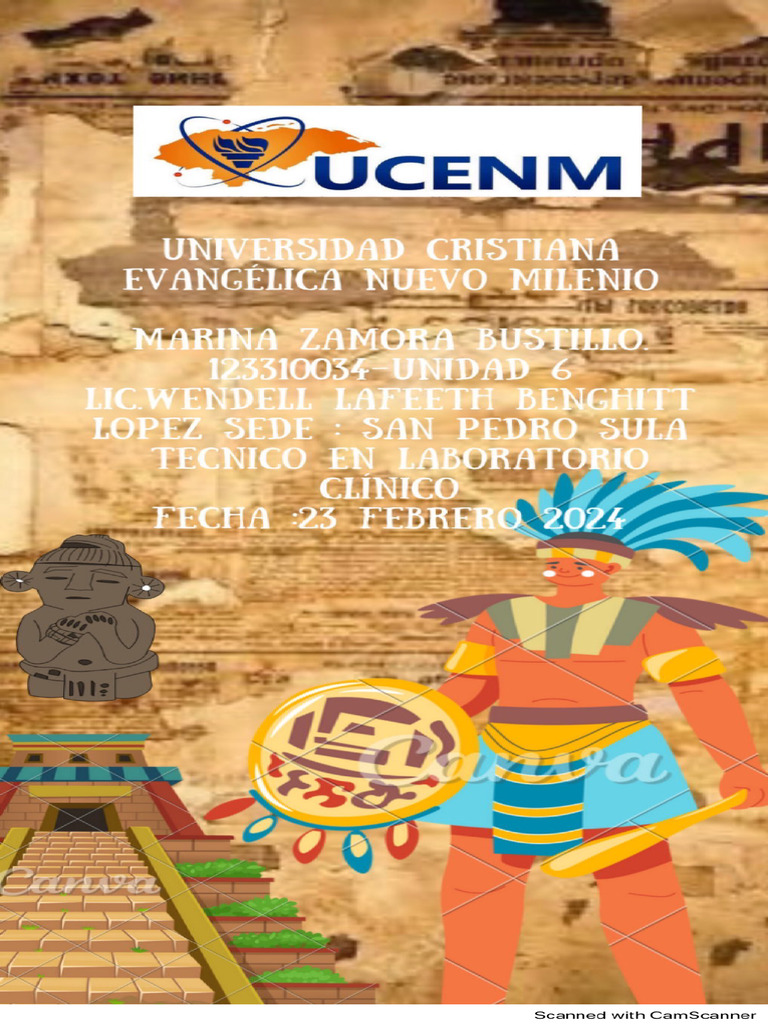 Infografía HDH | PDF