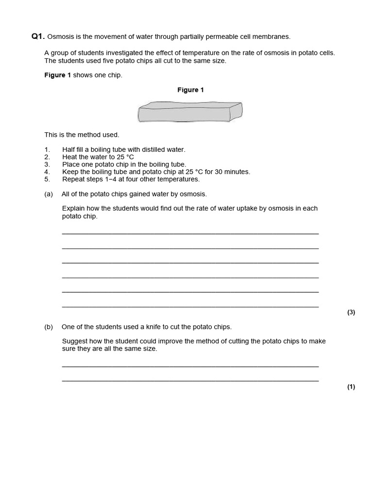 Science Exam Questions | PDF | Osmosis | Diffusion