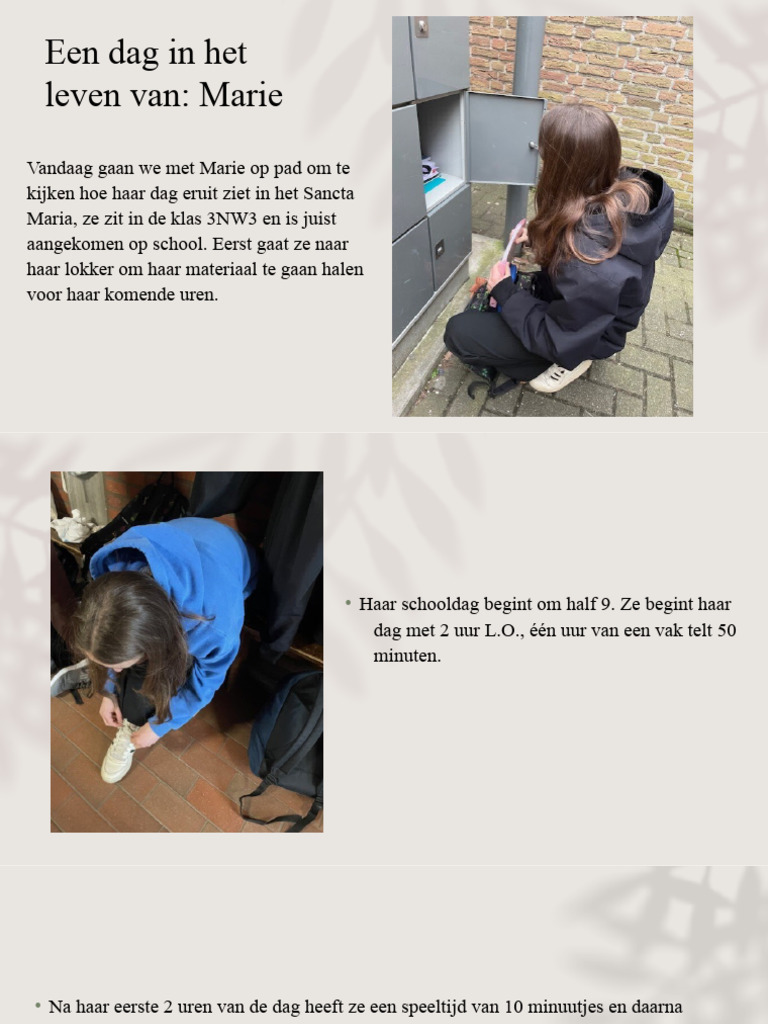 Een Dag in Het Leven Van Project | PDF