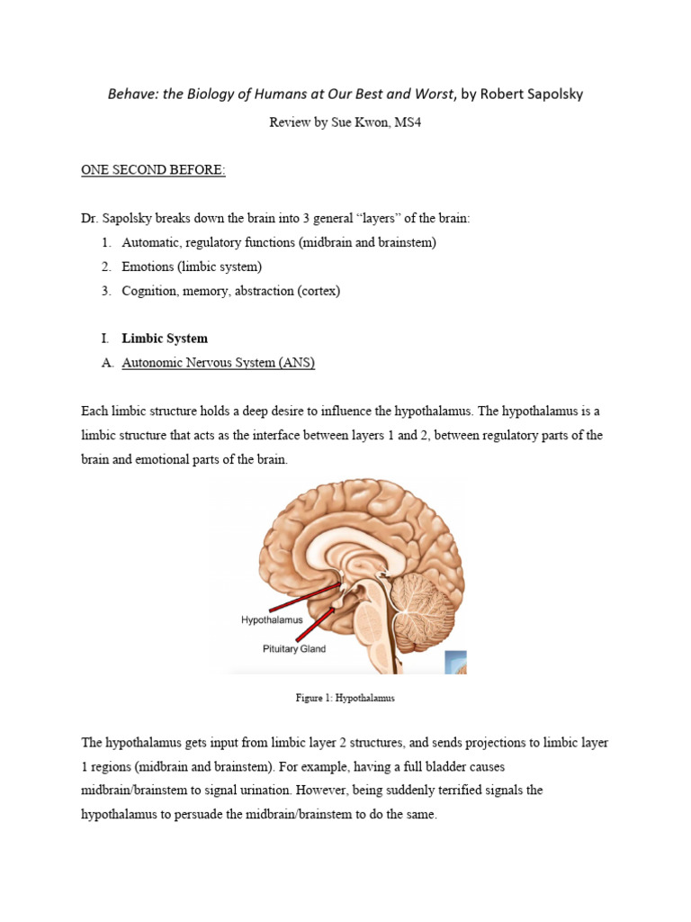 BEHAVE PROJECT Final | PDF | Amygdala | Reward System