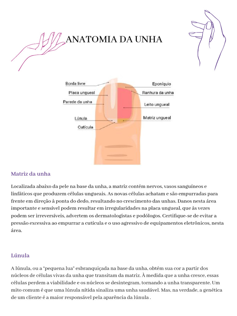 Anatomia | PDF | Unha | Pele