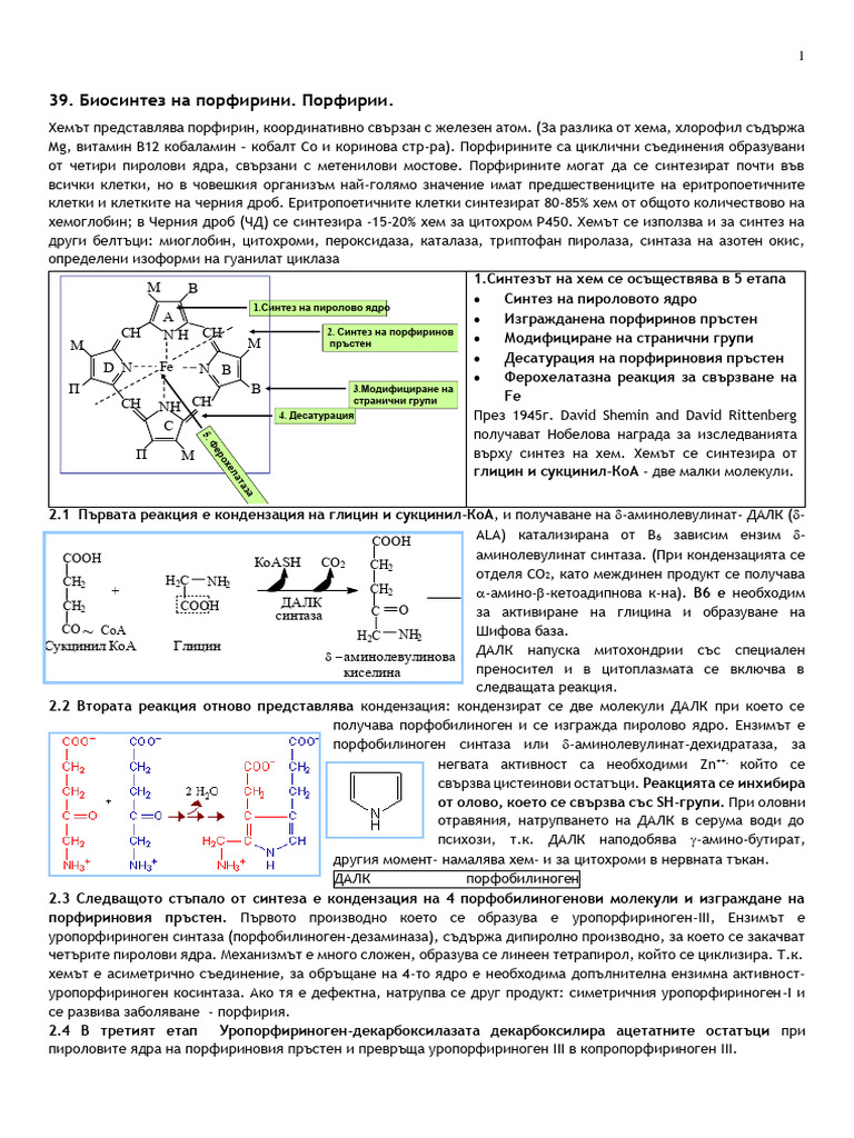 FF Lec 39 Biochem Porph | PDF