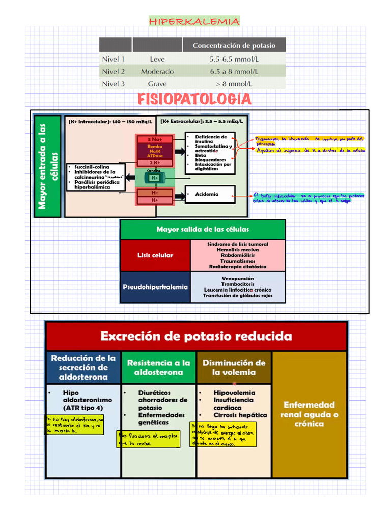 Trastornos Hidroelectrolíticos, Etiología, Clínica, Diagnóstico y Tratamiento | PDF