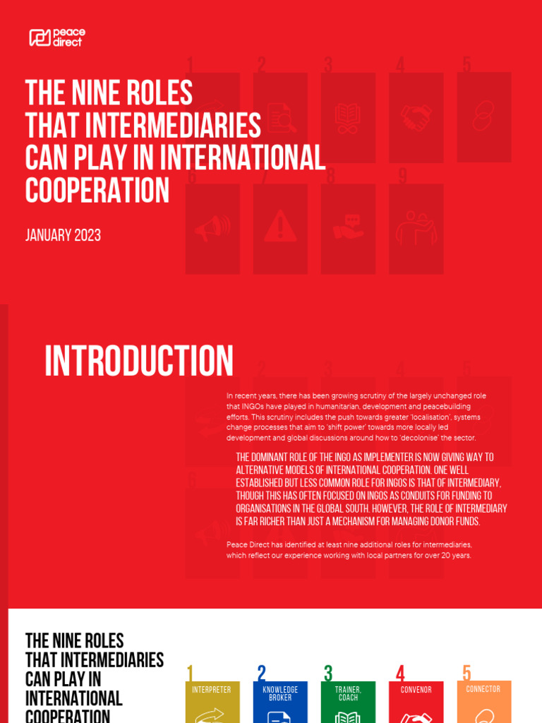 Nine Intermediary Roles in Global Cooperation | PDF | Expert | Knowledge