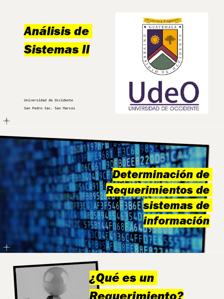 Análisis de Requerimientos de SI | PDF | Cuestionario | Software