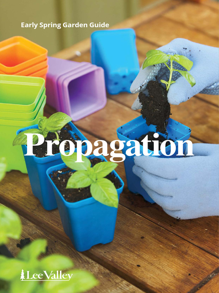 Early Spring Garden Vol. 2 Propagation | PDF | Botany | Agriculture