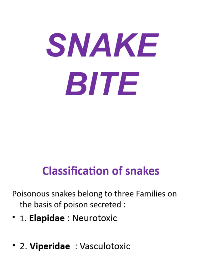 Indomie Presentation | PDF | Snake | Clinical Medicine