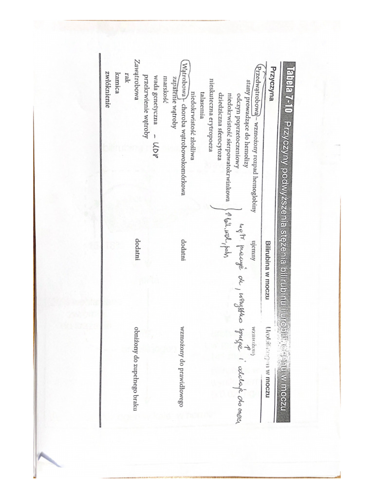 Watroba Schematy | PDF