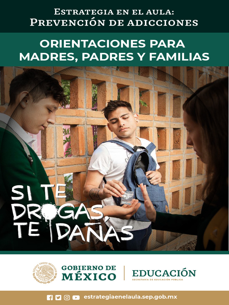 1-Que Son Las Drogas-Padres | PDF