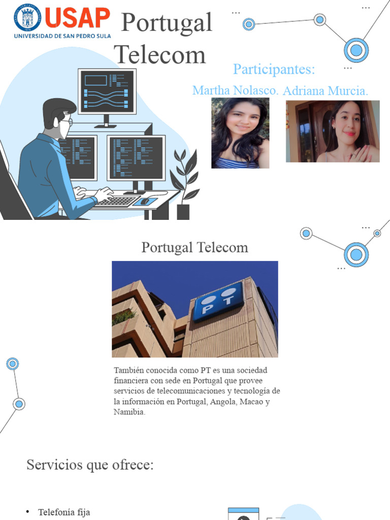 Servicios y Estrategias de PT | PDF | Negocios | Tecnología