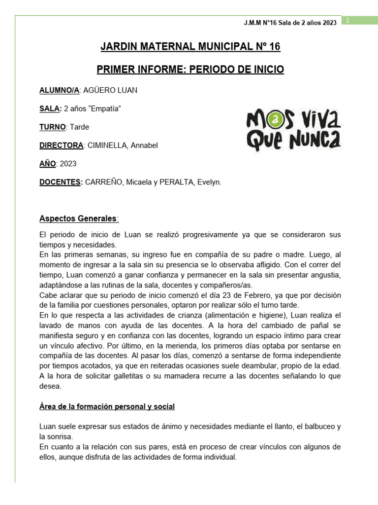 Modelo de Informe | PDF