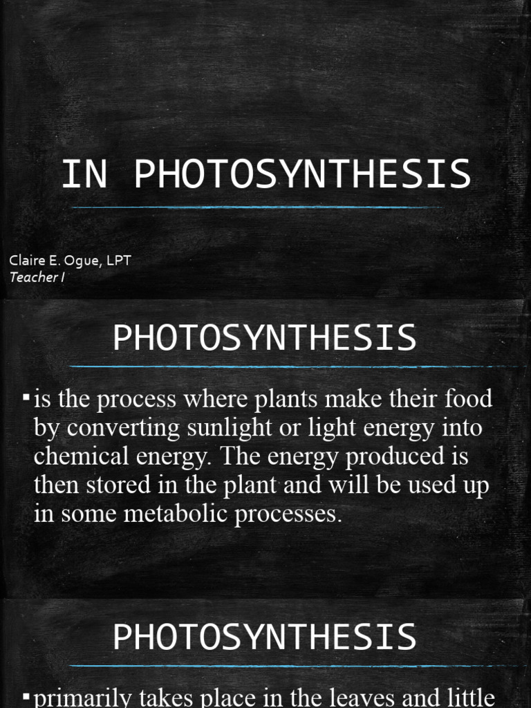 Plant Structures in Photosynthesis | PDF | Photosynthesis | Chloroplast