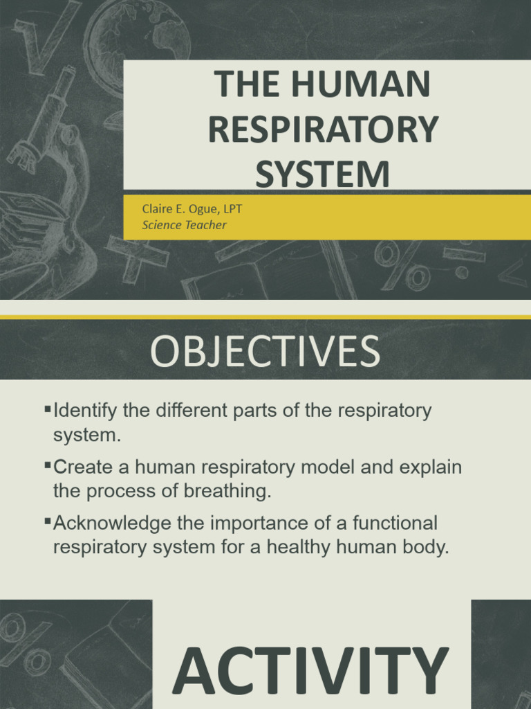 The Human Respiratory System | PDF