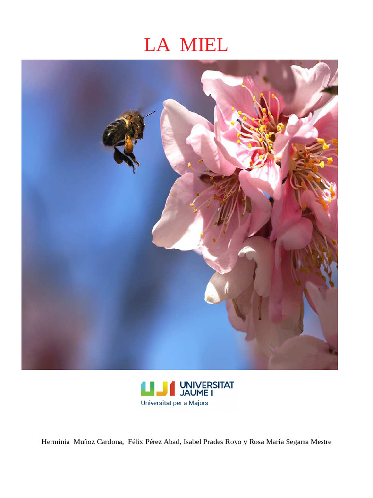 La Miel Pdf Miel Apicultura
