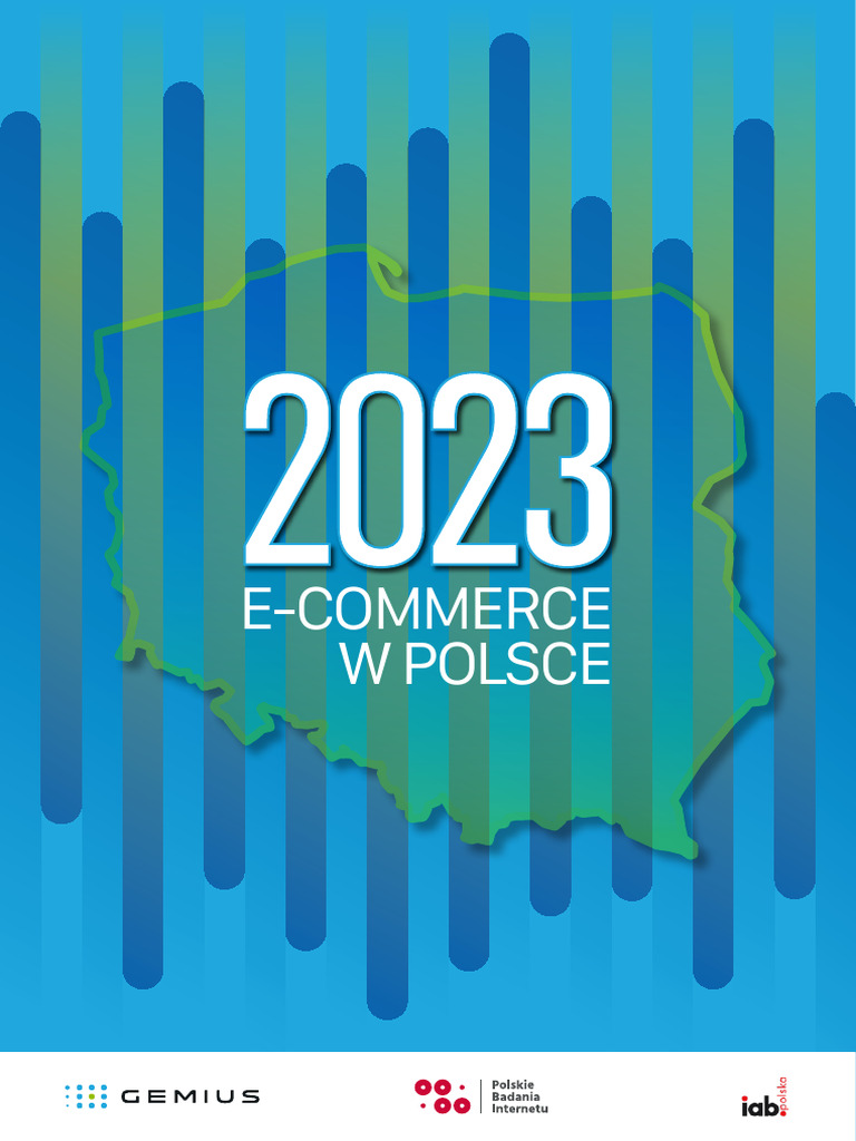 RAPORT E-commerce 2023 | PDF
