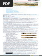 Caracteristicas y Habitat de La Chita | PDF