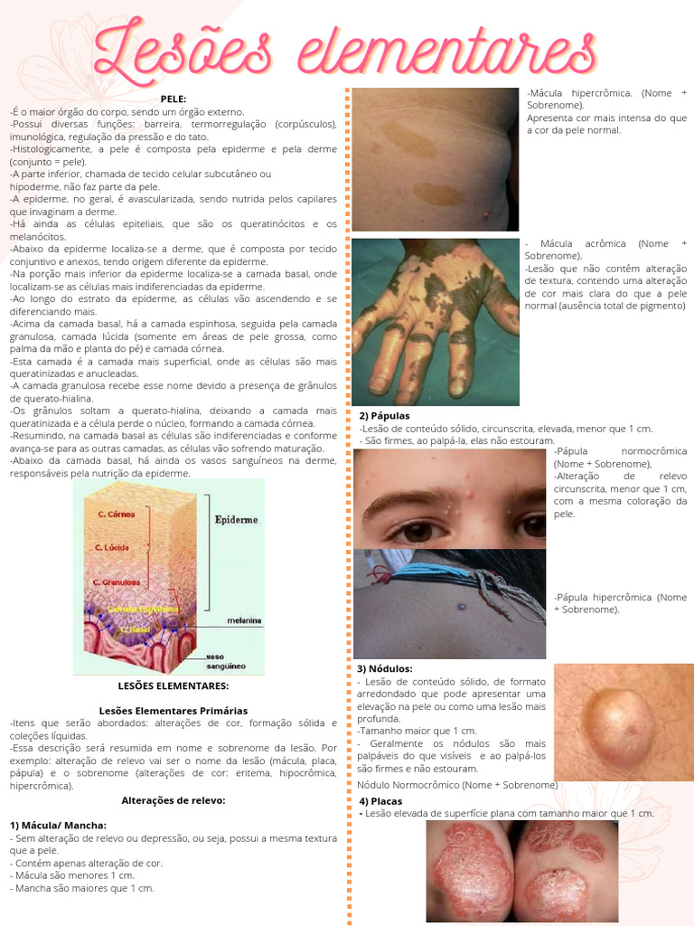 Lesoes Elementares | Download grátis PDF | Epiderme | Pele