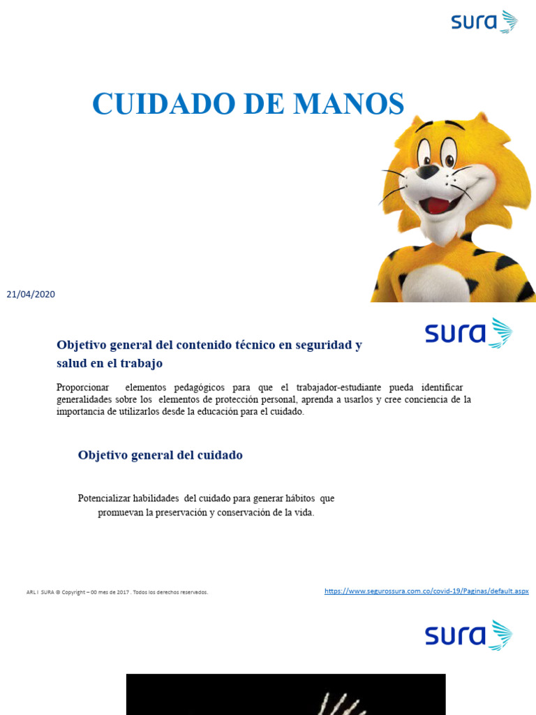 Presentación Epp y Cuidado de Manos | PDF