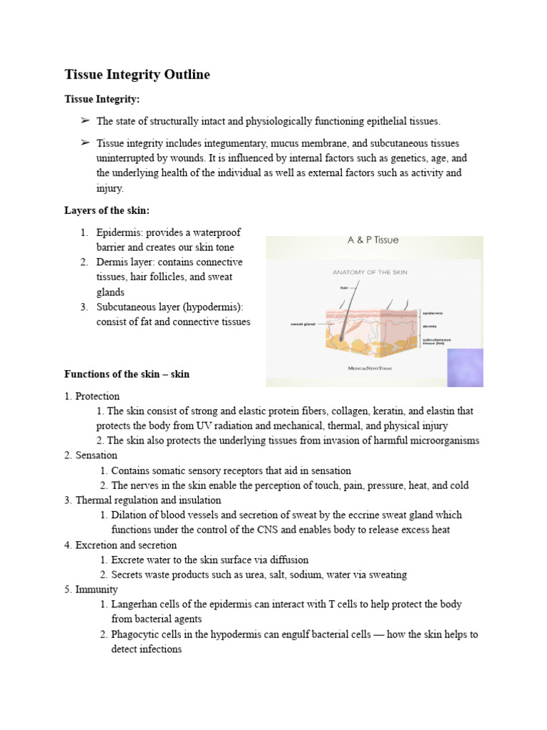 Tissue Integrity Outline Spring 2023 | PDF | Wound Healing | Wound