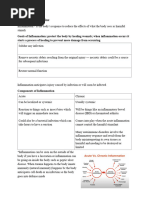 Five Cardinal Signs of Inflammation | PDF | Inflammation | Nonsteroidal ...