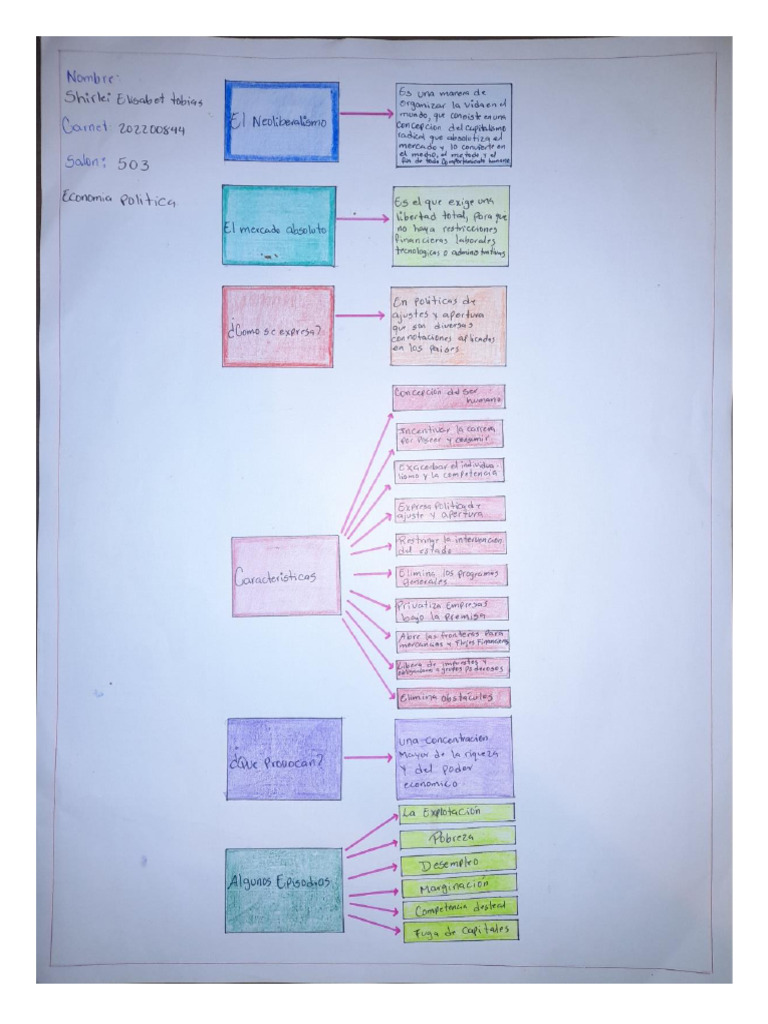 Mapa Conceptual Capitulos 1 y 2 Shirlei Tobias 202200844 | PDF