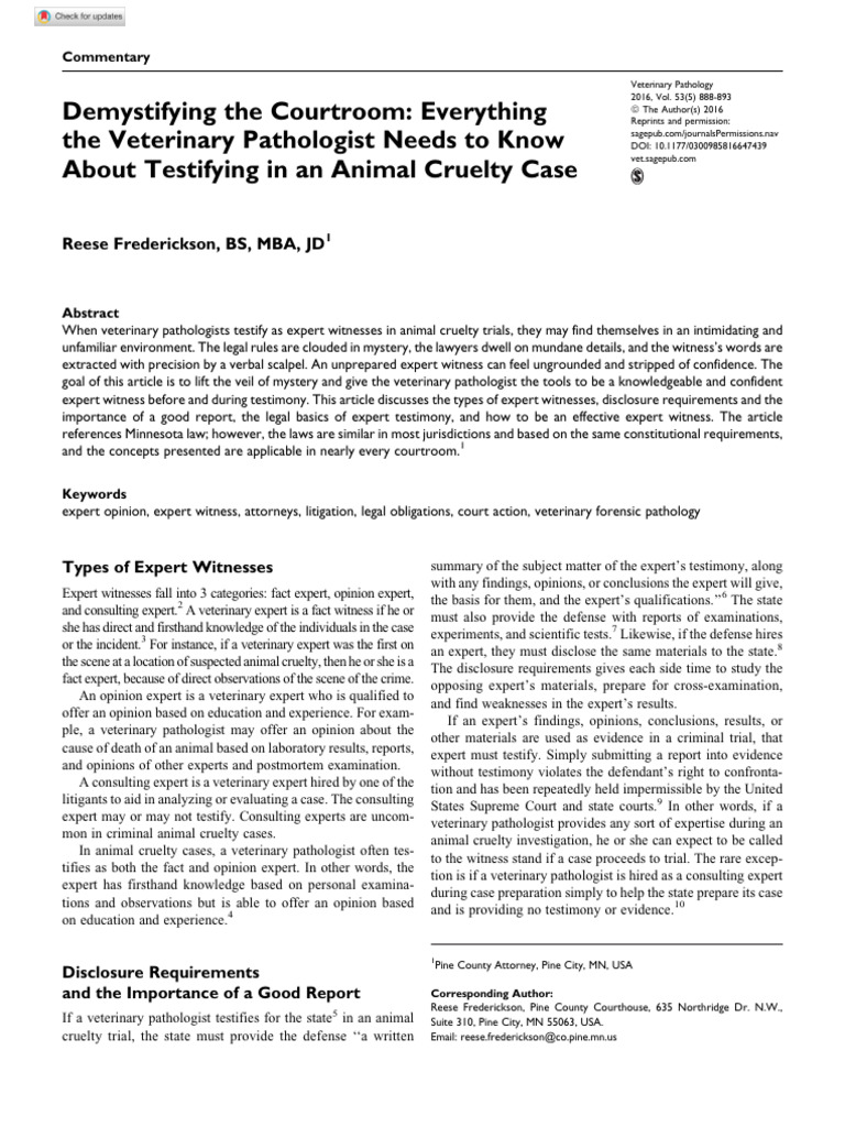 Demystifying The Courtroom | PDF | Expert Witness | Witness